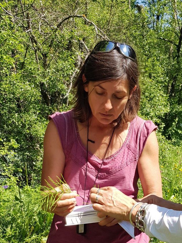 Praticienne en phyto-aromathérapie/Guide botanique et conseils jardins ...